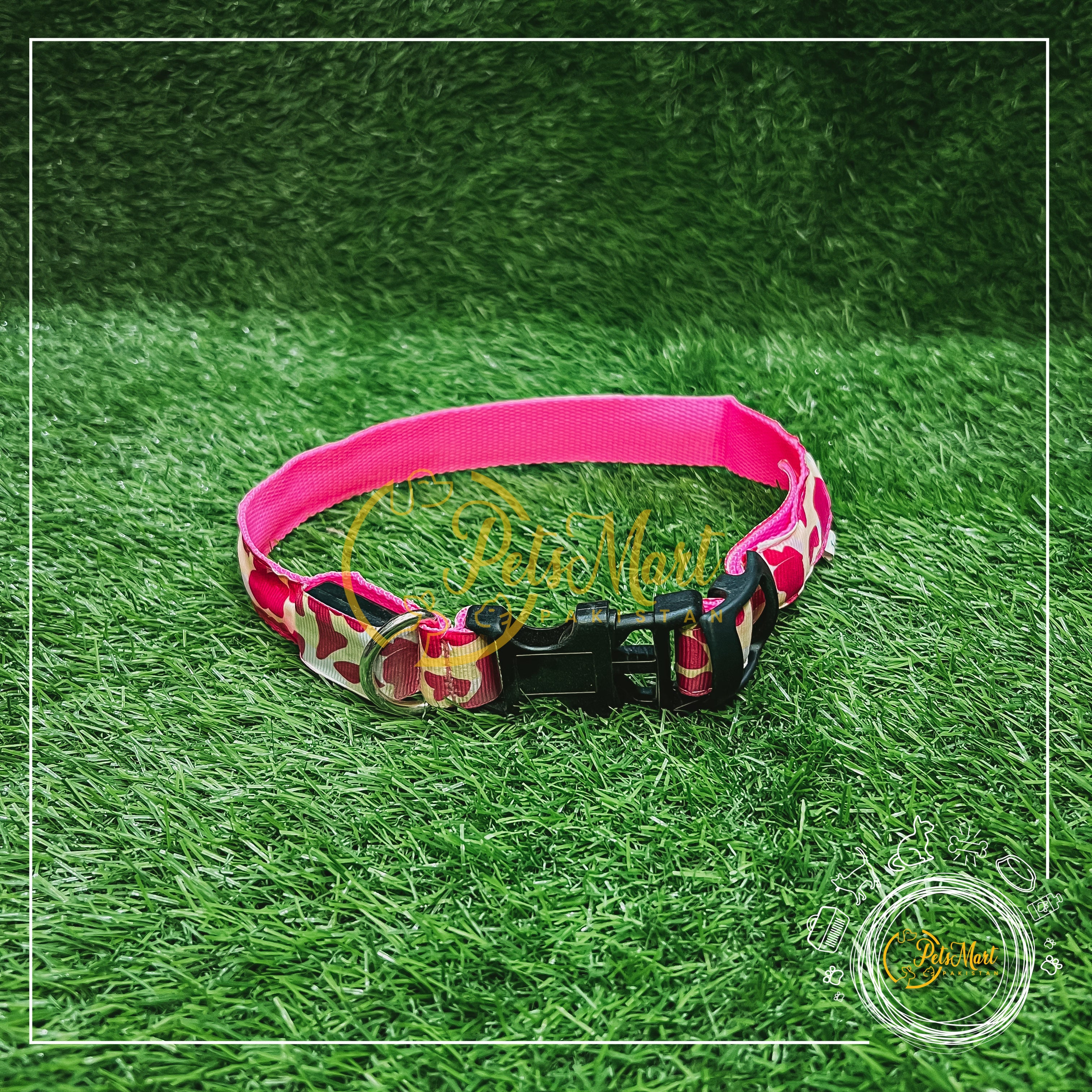 LED Collar
